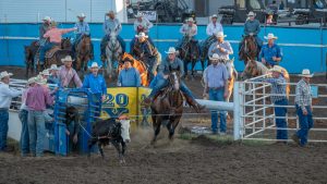 Eastern Montana Fair