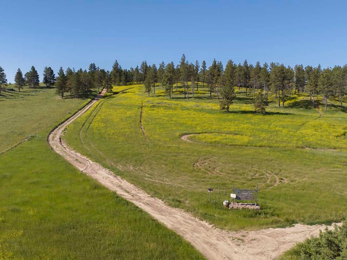 Custer County Montana – Welcome to the Official website for Custer ...